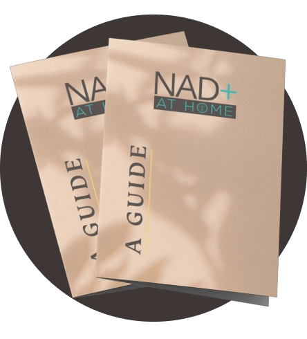 Benefits Of NAD+ - The Comprehensive Advantages of NAD+